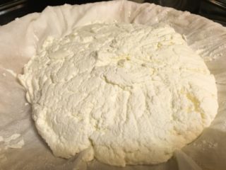 Easy Homemade Parmesan Cheese Recipe - Experimental Homesteader