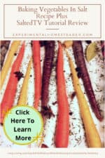 Baking Vegetables In Salt Recipe Plus SaltedTV Tutorial Review ...