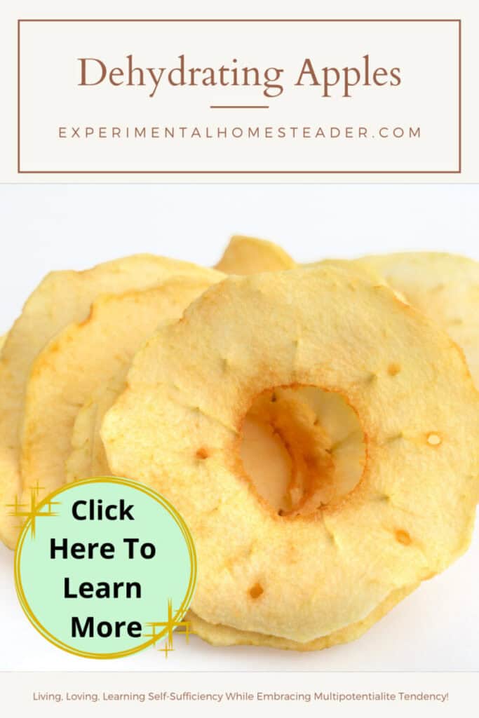 The Ultimate Beginners Guide To Dehydrating Apples - Experimental ...