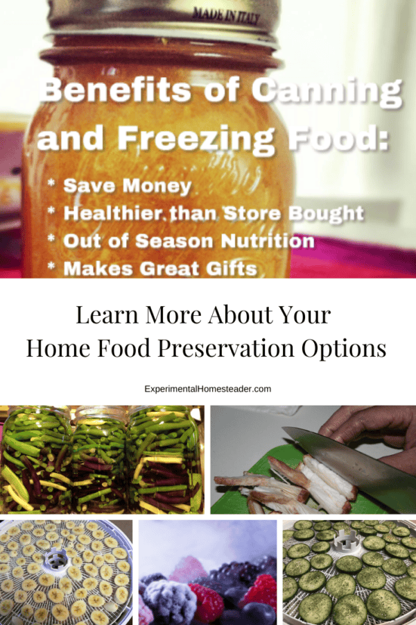 Learn More About Your Home Food Preservation Options - Experimental ...
