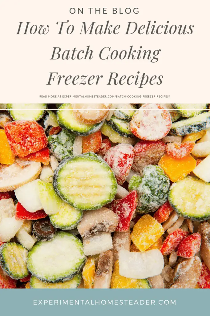 How To Make Delicious Batch Cooking Freezer Recipes - Experimental ...