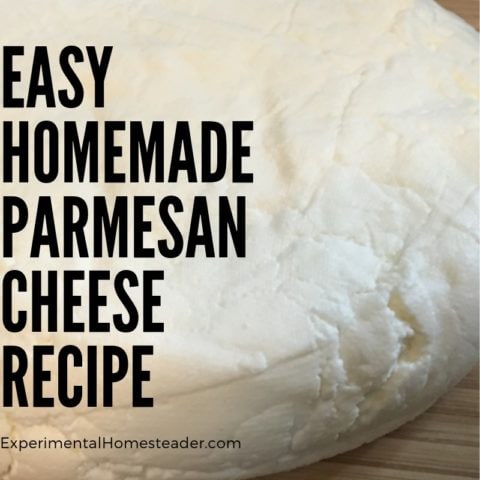Easy Homemade Parmesan Cheese Recipe - Experimental Homesteader