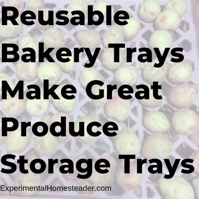 Canning Broccoli Is No Longer Safe But You Can Still Preserve It ...