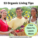 Experimental Homesteader - Real life homesteading from a modern day ...