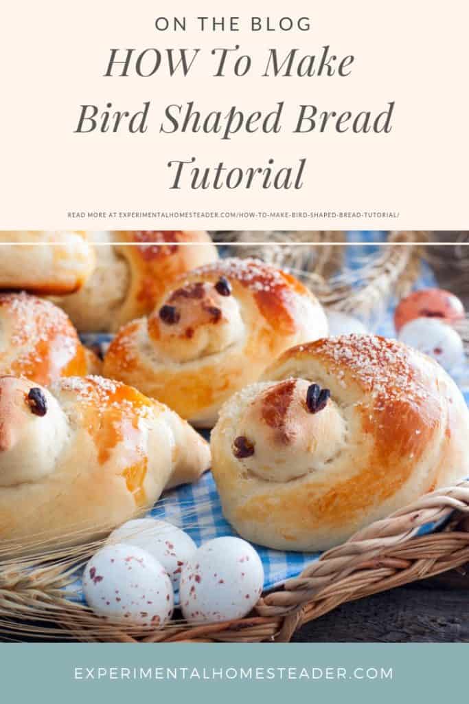 How To Make Bird Shaped Bread Tutorial - Experimental Homesteader