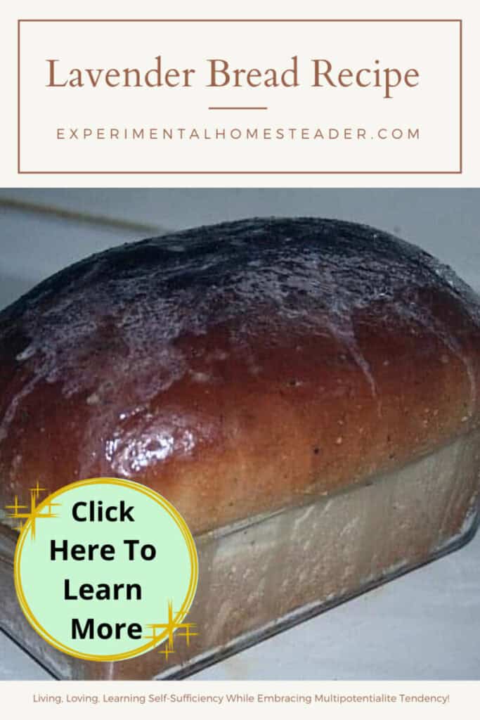 Lavender Bread Recipe - Experimental Homesteader