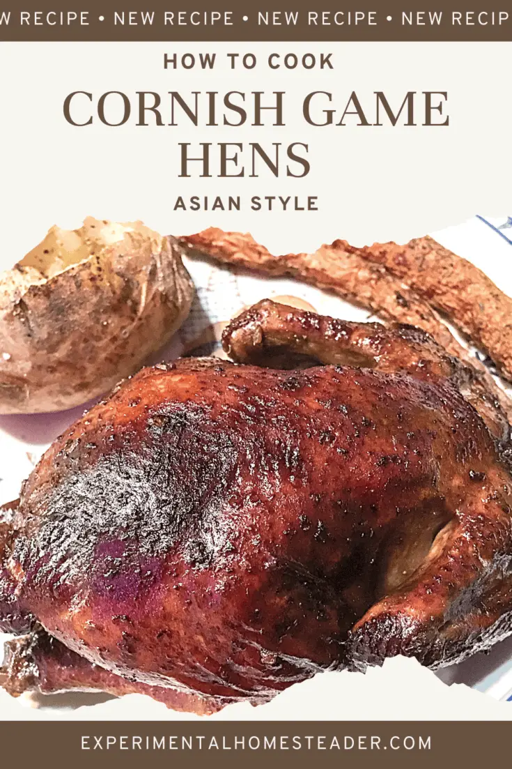 How To Cook Cornish Game Hens Asian Style - Experimental Homesteader