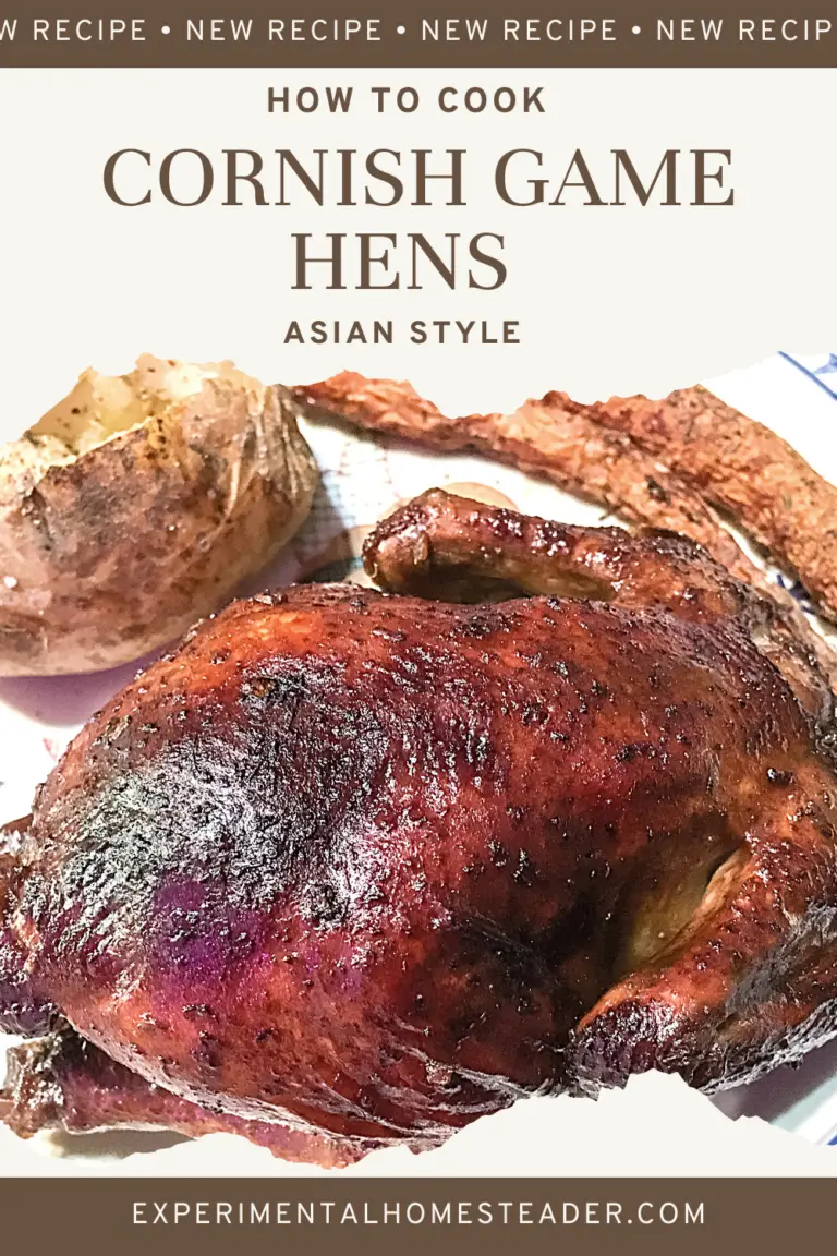 How To Cook Cornish Game Hens Asian Style - Experimental Homesteader How To Cook Cornish Game Hens Asian Style - Experimental Homesteader