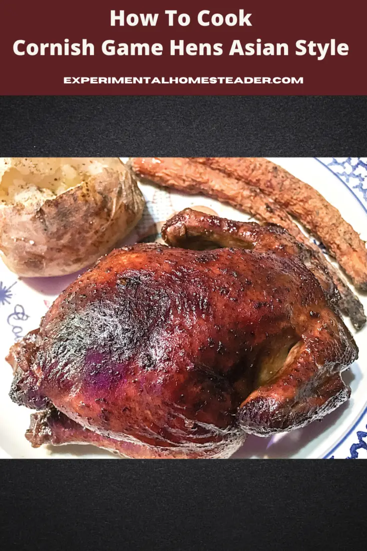 How To Cook Cornish Game Hens Asian Style - Experimental Homesteader How To Cook Cornish Game Hens Asian Style - Experimental Homesteader