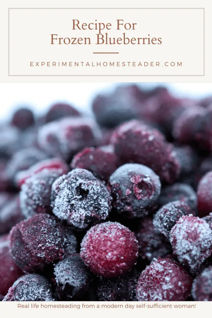 Recipe For Frozen Blueberries - Experimental Homesteader