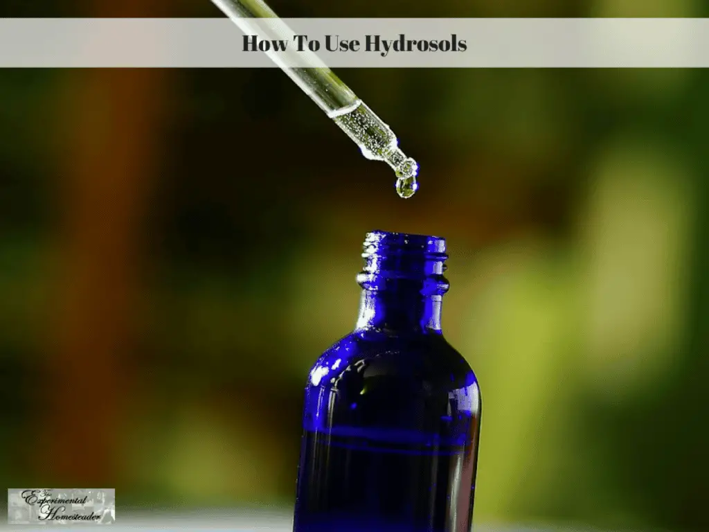 How To Use Hydrosols - Experimental Homesteader