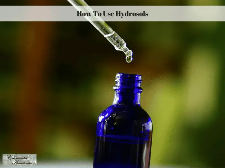 How To Use Hydrosols - Experimental Homesteader