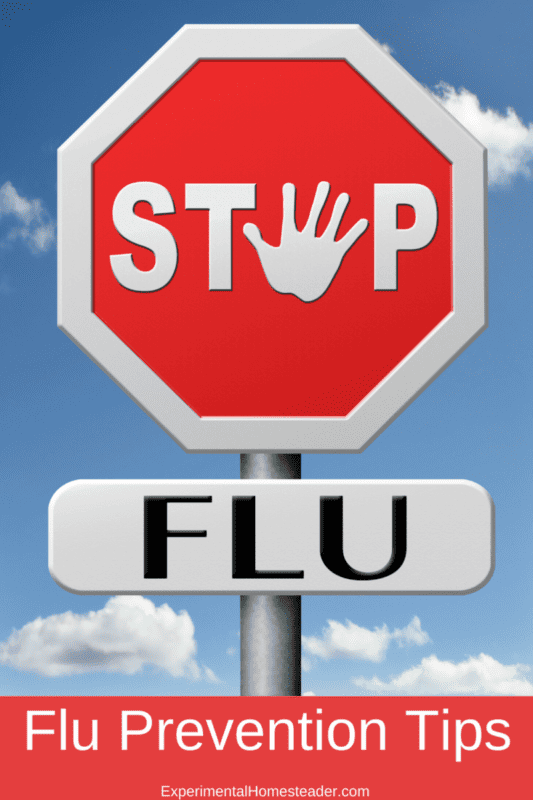 Flu Prevention Tips - Experimental Homesteader