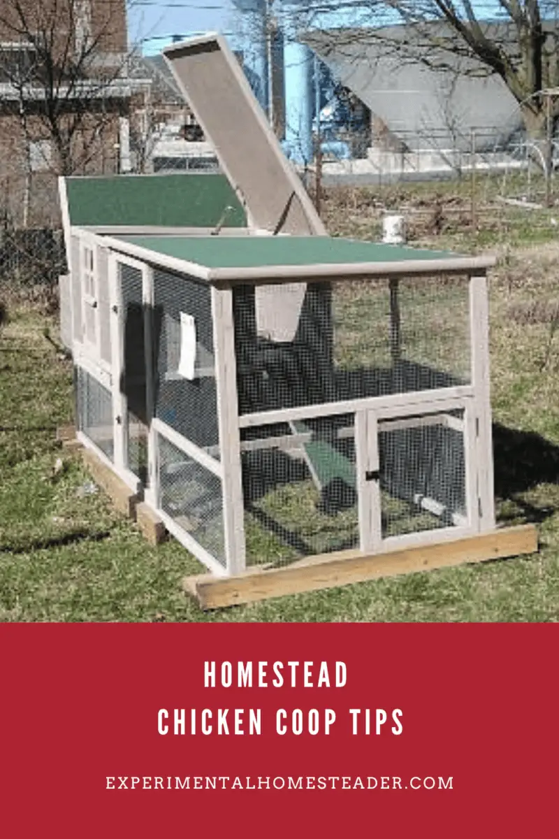Build the Perfect Homestead Chicken Coop: Tips & Tricks - Experimental ...