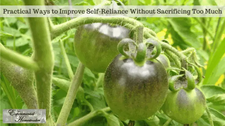 Practical Ways to Improve Self-Reliance Without Sacrificing Too Much ...