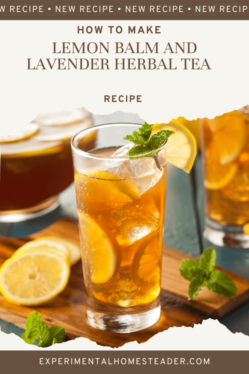 Lemon Balm And Lavender Herbal Tea Recipe - Experimental Homesteader