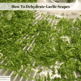 Canning Broccoli Is No Longer Safe But You Can Still Preserve It ...