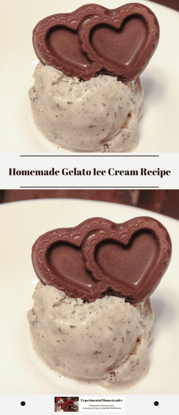 Homemade Gelato Ice Cream Recipe - Experimental Homesteader