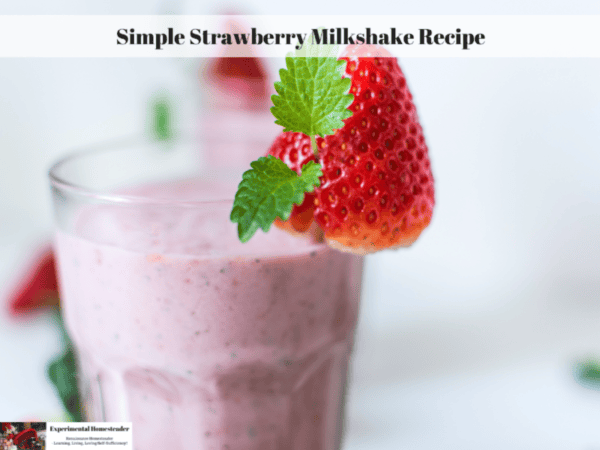 Simple Strawberry Milkshake Recipe - Experimental Homesteader