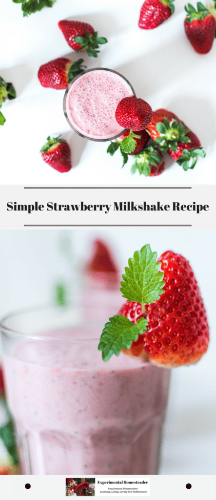 Simple Strawberry Milkshake Recipe - Experimental Homesteader