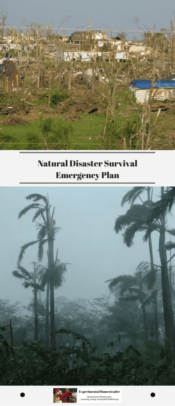 Natural Disaster Survival Emergency Plan - Experimental Homesteader