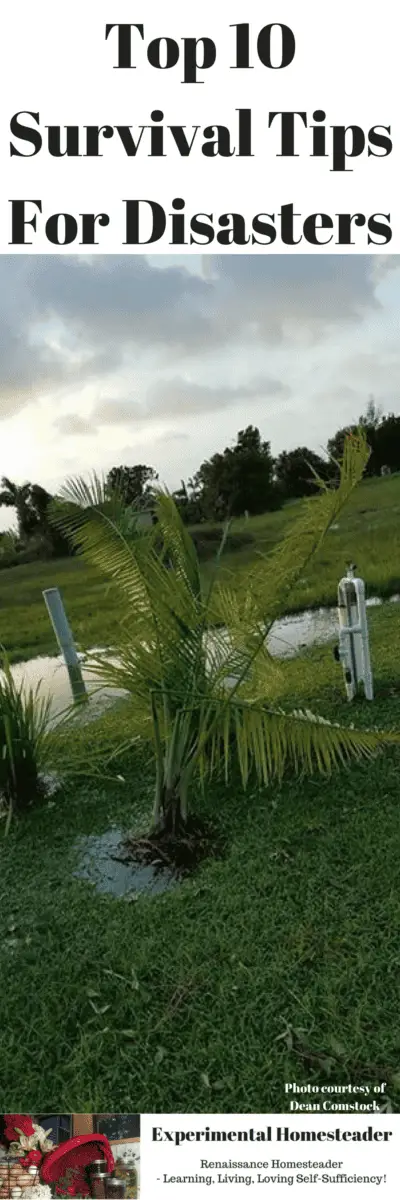 Top 10 Survival Tips For Disasters - Experimental Homesteader