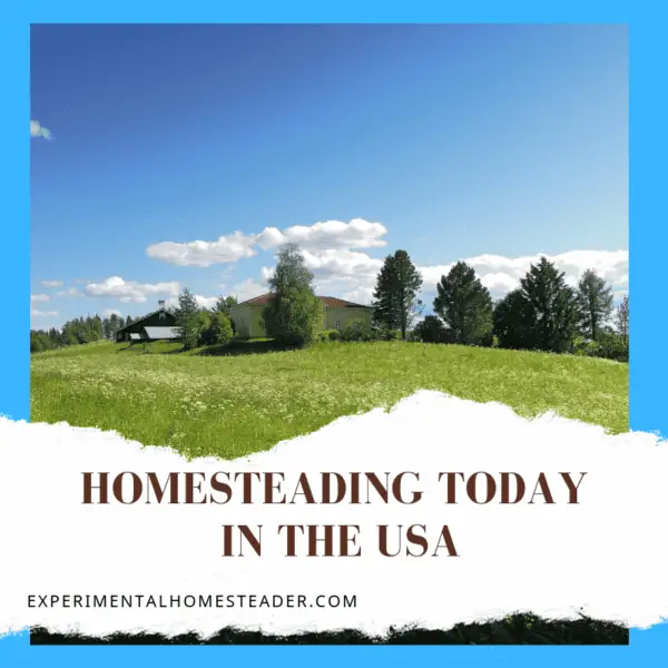 Homesteading Today In The USA - Experimental Homesteader