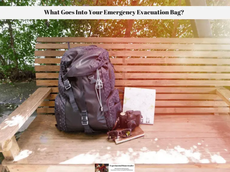 What Goes Into Your Emergency Evacuation Bag? - Experimental Homesteader
