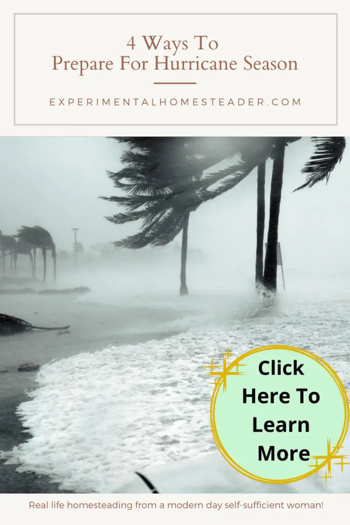 4 Ways To Prepare For Hurricane Season - Experimental Homesteader