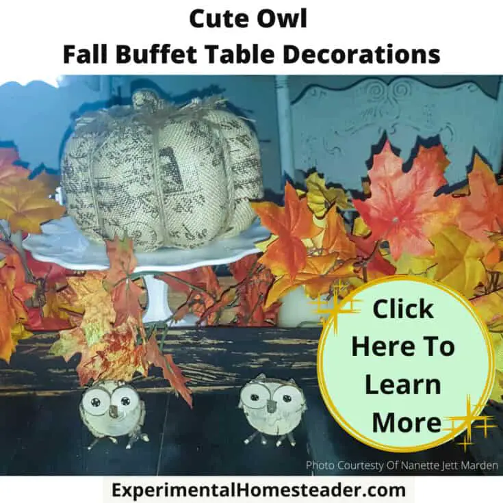 Cute Owl Fall Buffet Table Decorations - Experimental Homesteader