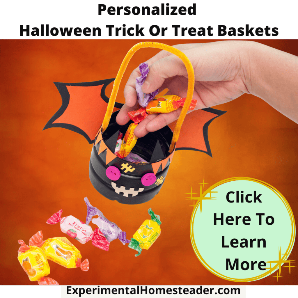Personalized Halloween Trick-Or-Treat Baskets - Experimental Homesteader