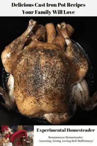 Delicious Cast Iron Pot Recipes Your Family Will Love - Experimental ...