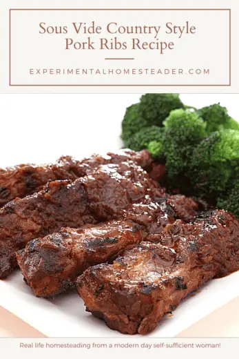 Sous Vide Country Style Pork Ribs Recipe - Experimental Homesteader