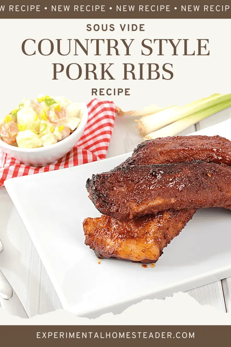 Sous Vide Country Style Pork Ribs Recipe - Experimental Homesteader