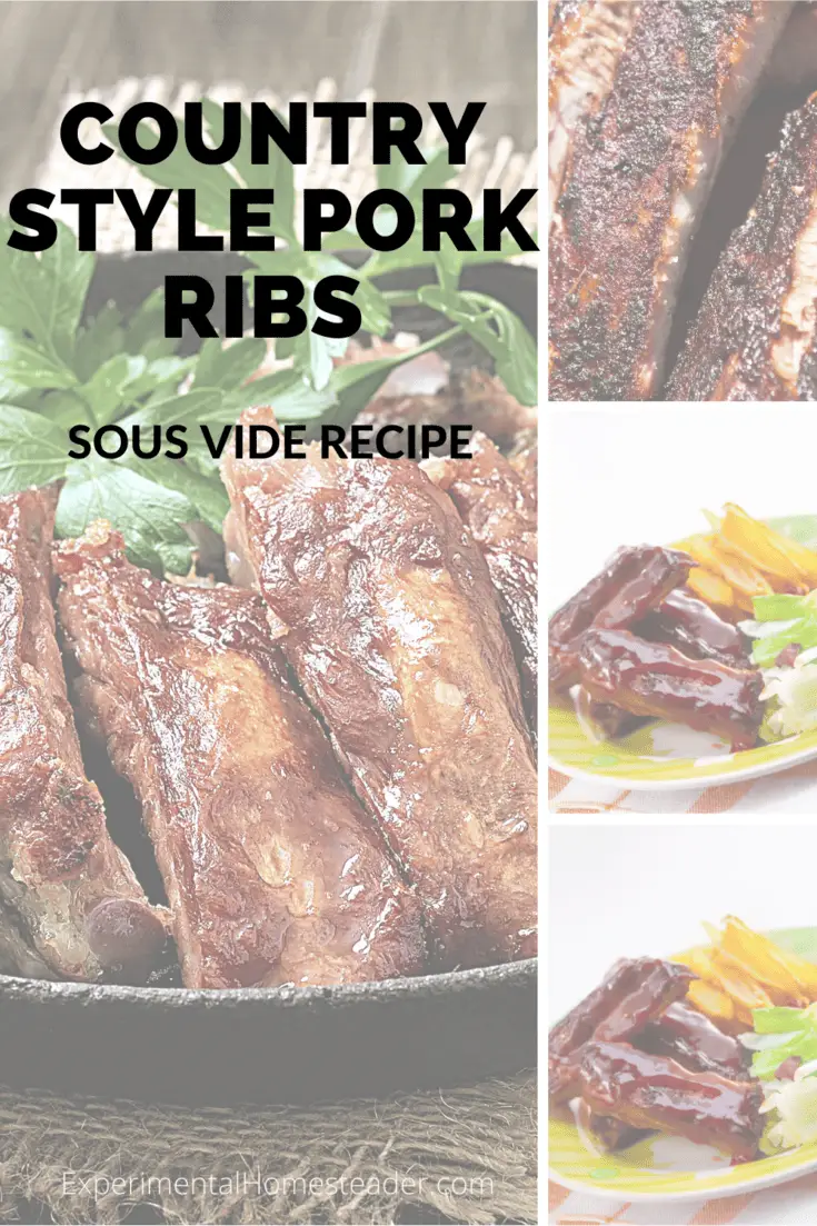 Sous Vide Country Style Pork Ribs Recipe - Experimental Homesteader