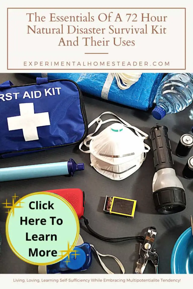 The Essentials Of A 72 Hour Natural Disaster Survival Kit And Their ...