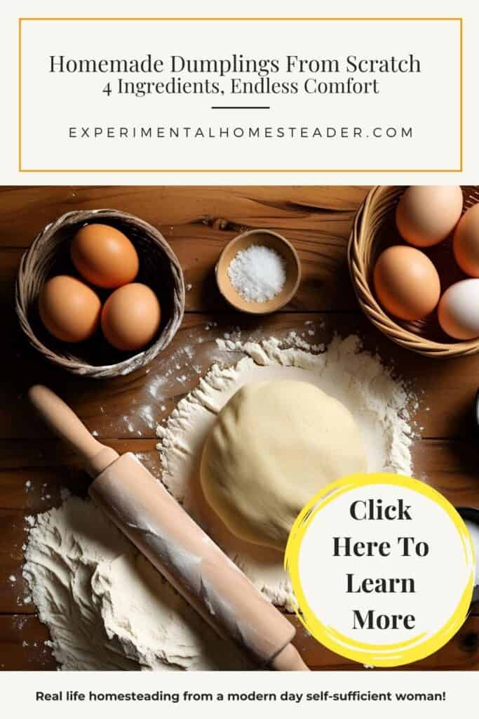 How To Make Homemade Dumplings From Scratch - Experimental Homesteader