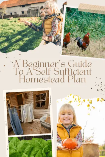 A Beginner's Guide To A Self Sufficient Homestead Plan - Experimental ...