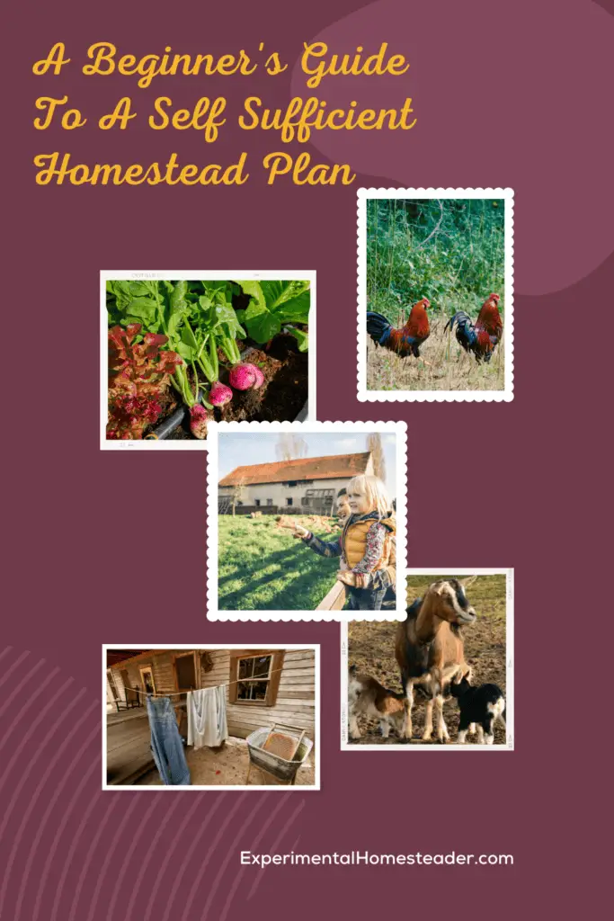 A Beginner's Guide To A Self Sufficient Homestead Plan - Experimental ...