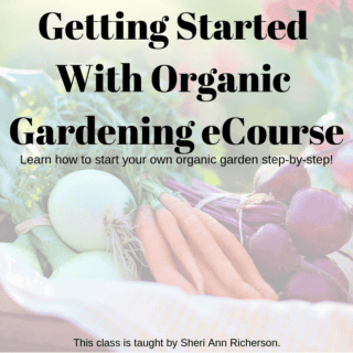 Rural And Urban Gardening Ideas For Homesteaders - Experimental Homesteader