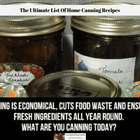 How To Can Broccoli - Experimental Homesteader