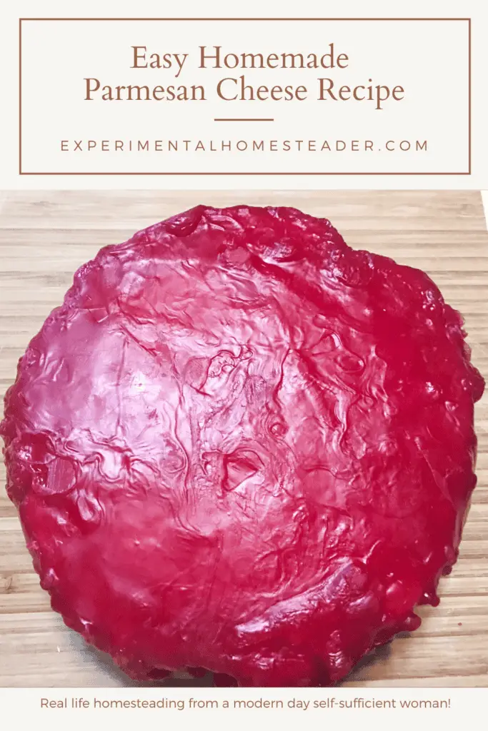 Easy Homemade Parmesan Cheese Recipe - Experimental Homesteader