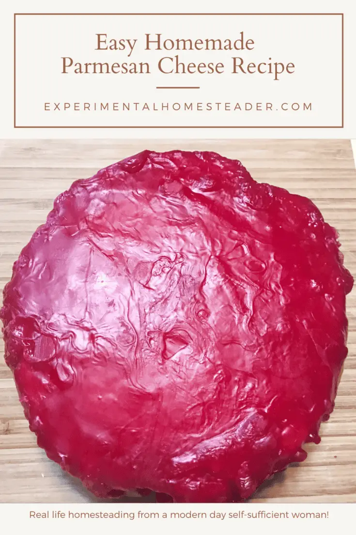 Easy Homemade Parmesan Cheese Recipe - Experimental Homesteader