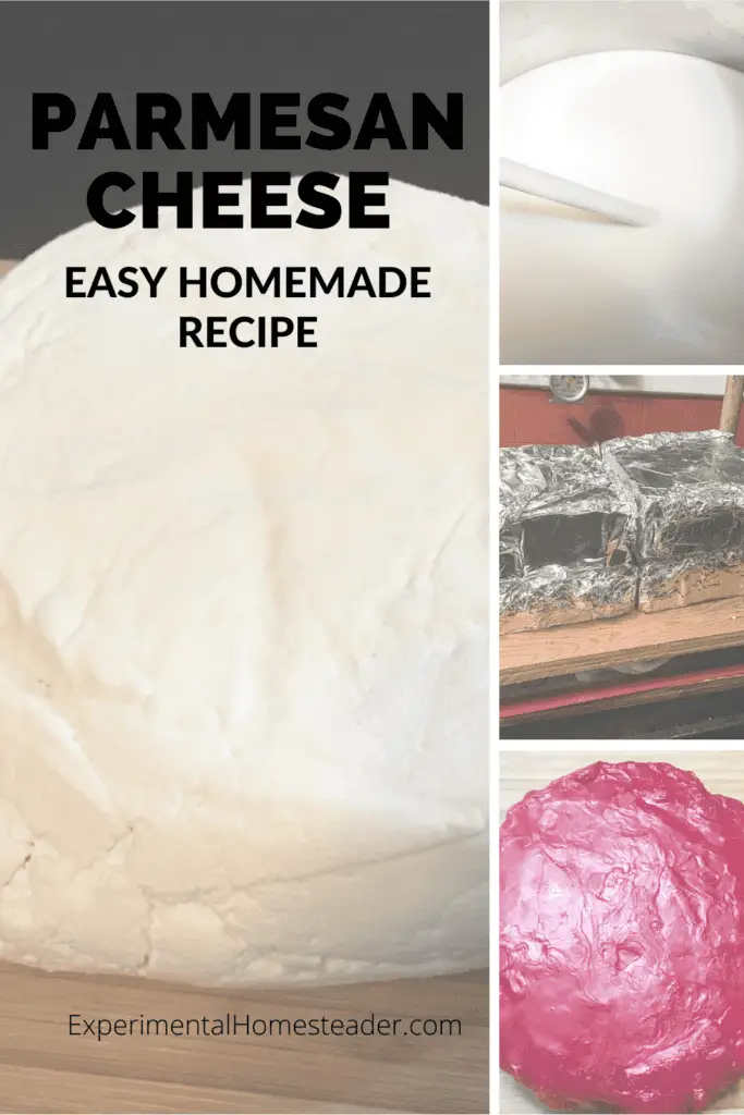 Easy Homemade Parmesan Cheese Recipe - Experimental Homesteader