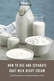 How To Use And Separate Goat Milk Heavy Cream - Experimental Homesteader