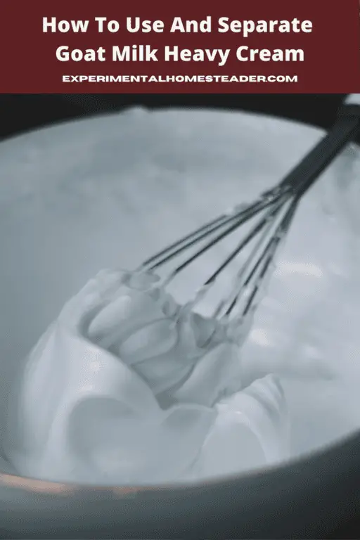 How To Use And Separate Goat Milk Heavy Cream - Experimental Homesteader