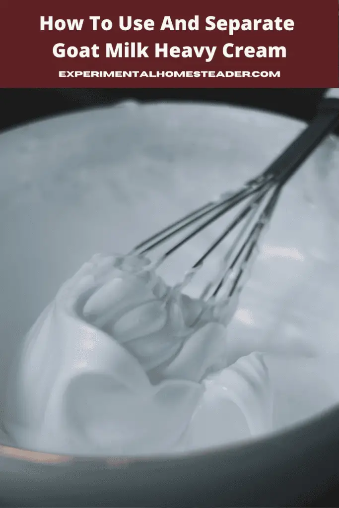 How To Use And Separate Goat Milk Heavy Cream - Experimental Homesteader
