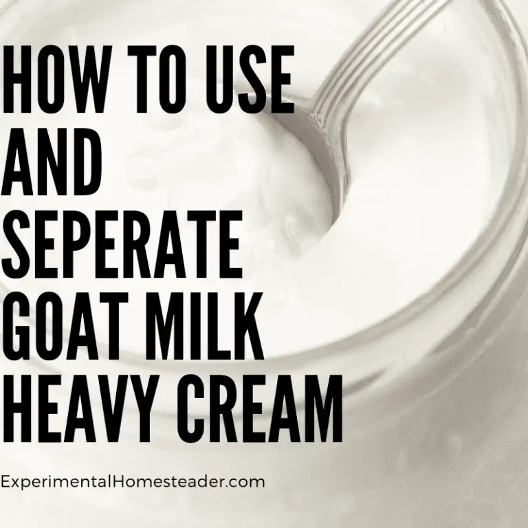 How to Make Goat Milk Cottage Cheese on Your Homestead - Experimental ...