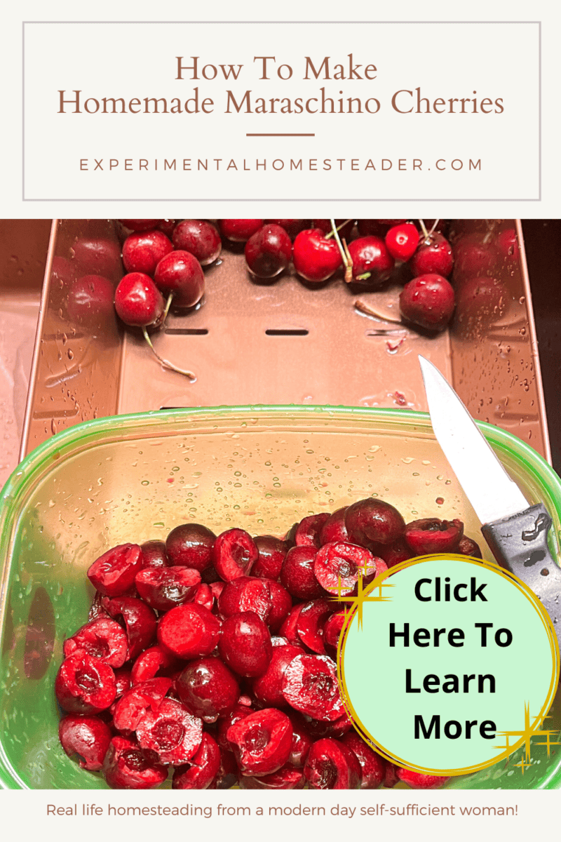 How To Make Homemade Maraschino Cherries - Experimental Homesteader