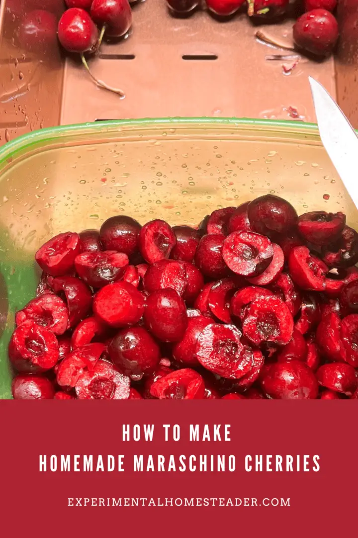 How To Make Homemade Maraschino Cherries - Experimental Homesteader